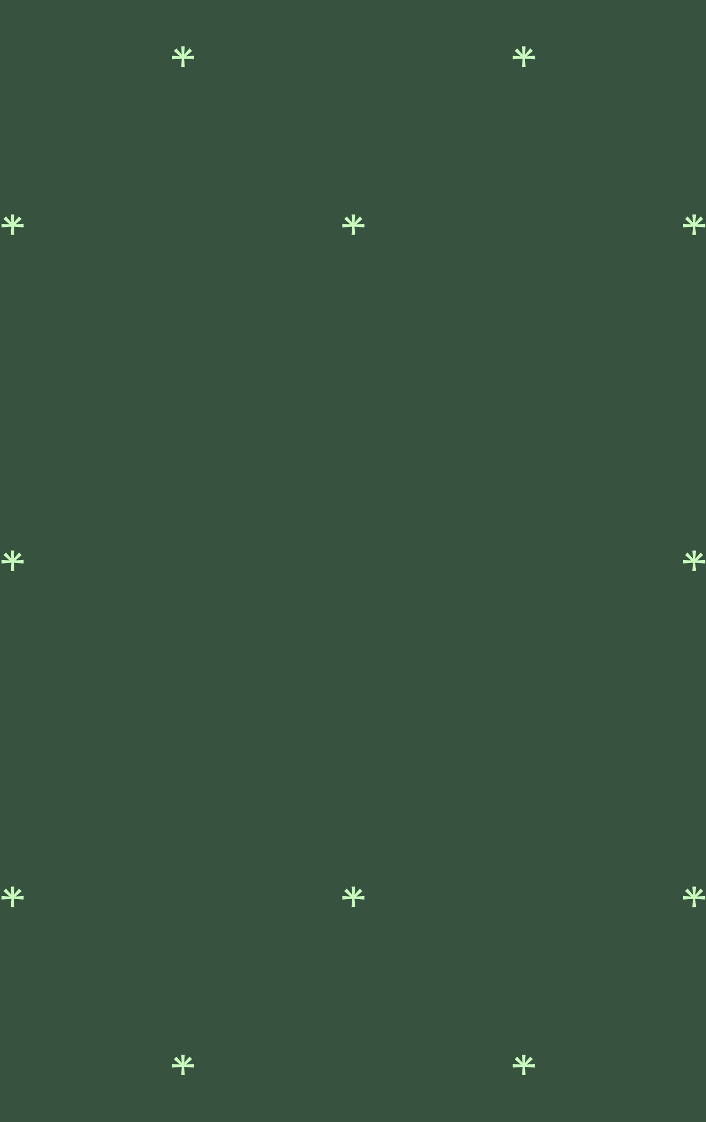 MasayaCo 🇵🇦 – MasayaCo Panama